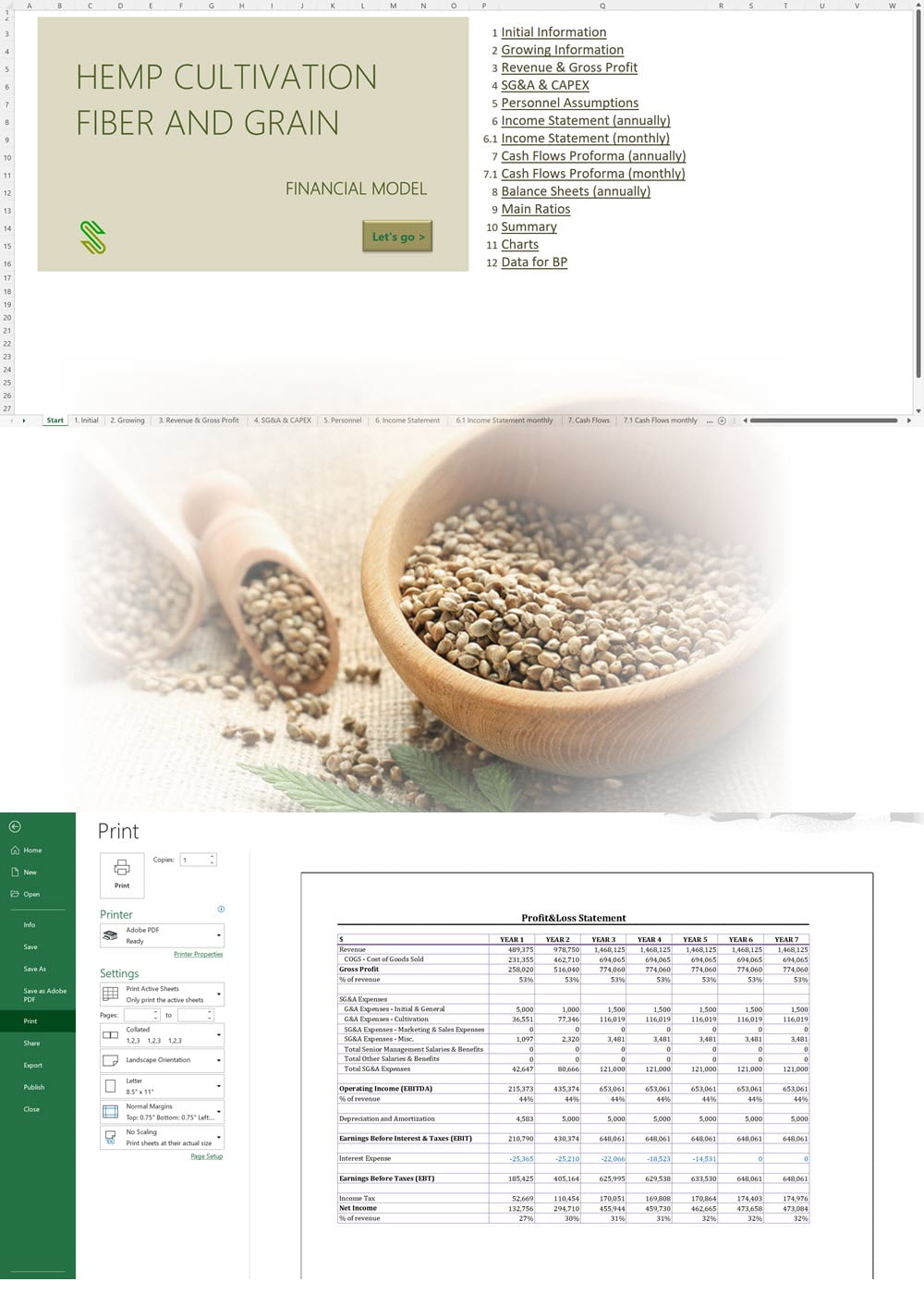 Hemp Hemp Fiber and Grain Cultivation Financial Model – Business Plan ...